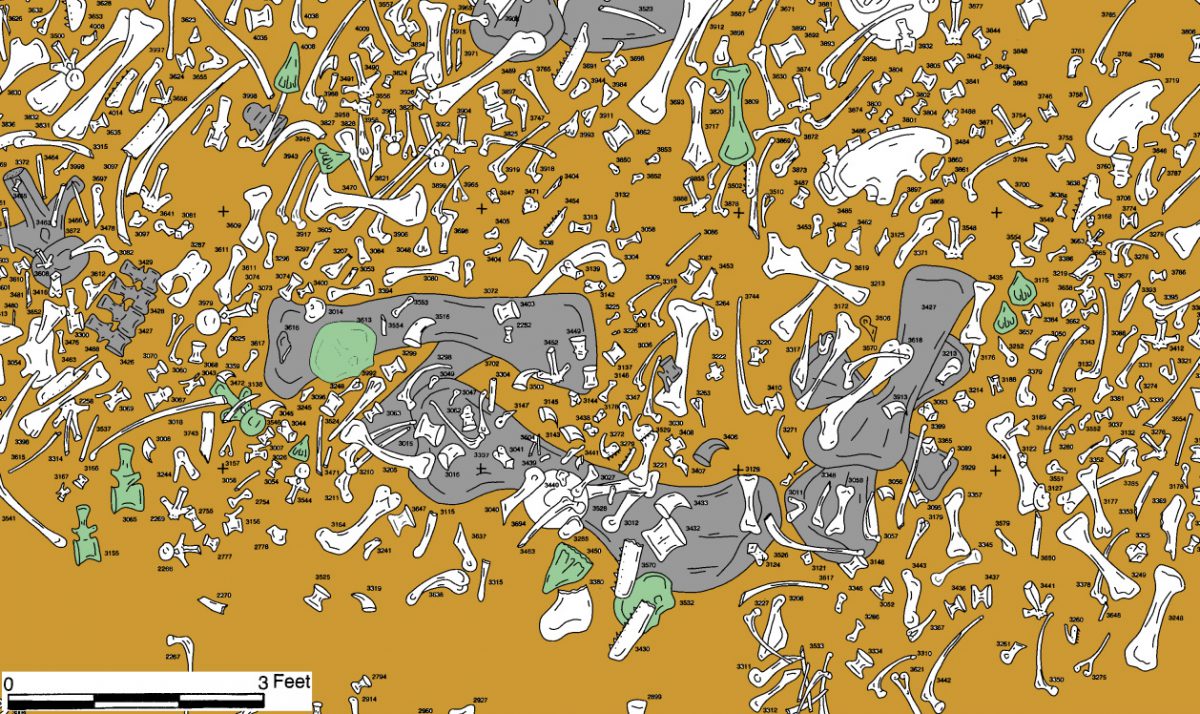 Utah’s Universal Heritage | Utah Historical Society